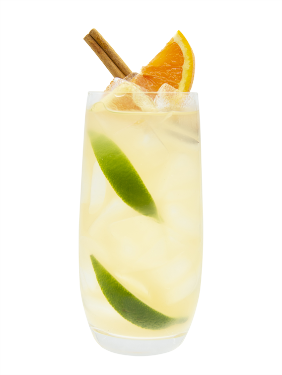 Lote Zippy Cosa Zing - Monin LATAM