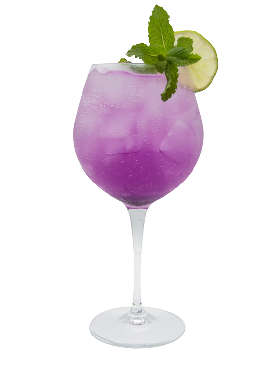 ube gin-tonic - Monin LATAM